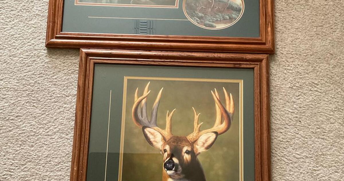 2 DEER PICTURES MATTED & FRAMED 18 x22 for $20 in Clifton, NJ | Finds ...