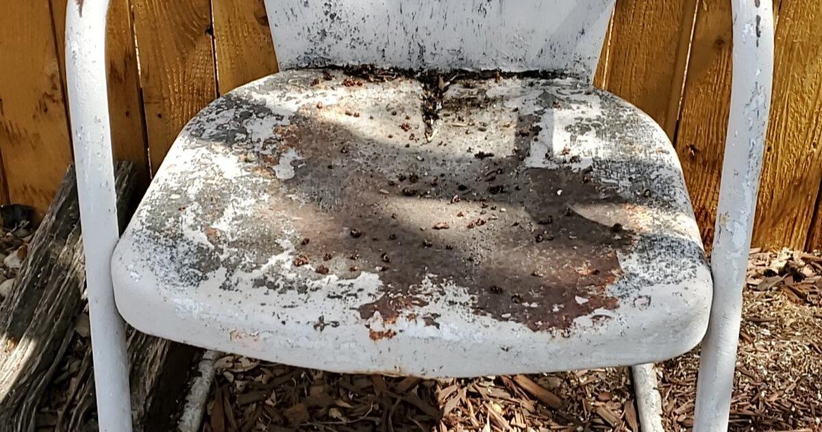 metal out door chairs for $25 in Arvada, CO | Finds — Nextdoor