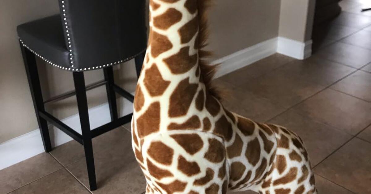 4ft 3 inch giraffe for $20 in Melbourne, FL | For Sale & Free — Nextdoor