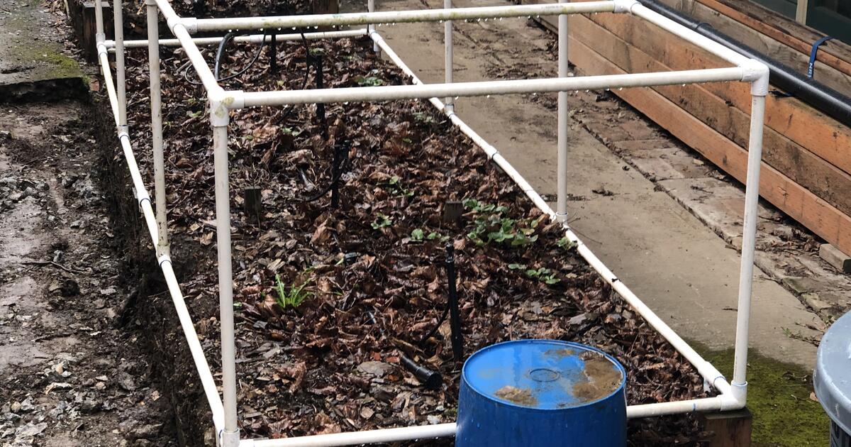 PVC (plastic pipe) Frames to cover Garden Beds - FREE for Free in ...