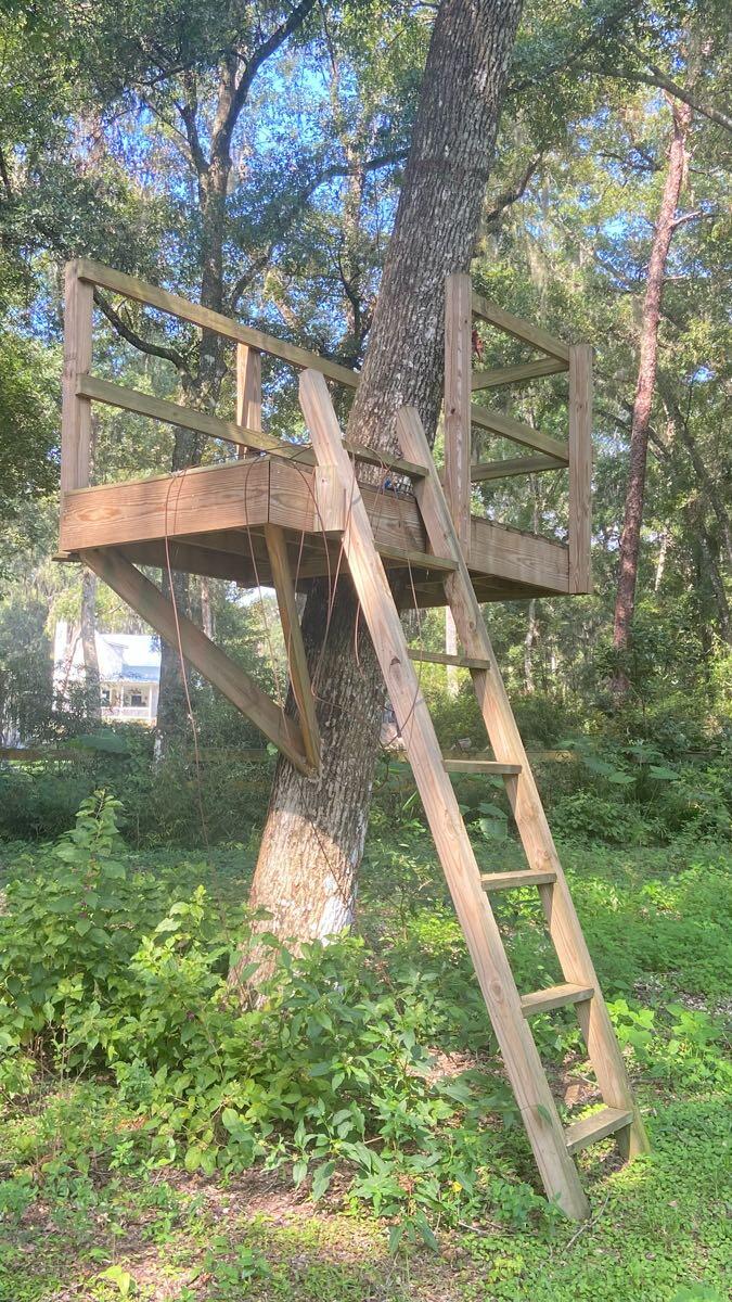 Wooden Treehouse Platform for Free in St. Johns, FL | For Sale & Free ...
