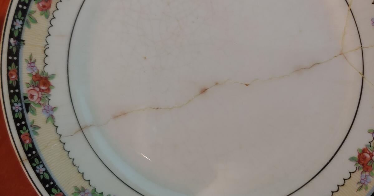 Chipped & stained china for mosaic or other art for Free in Seattle, WA ...