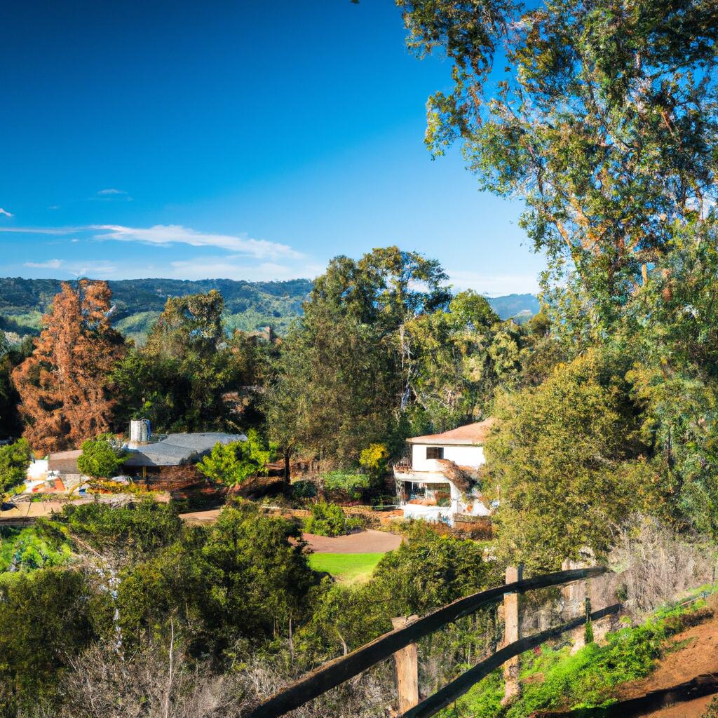 Woodland Acres - The Highlands, Los Altos | Everything You Need to Know