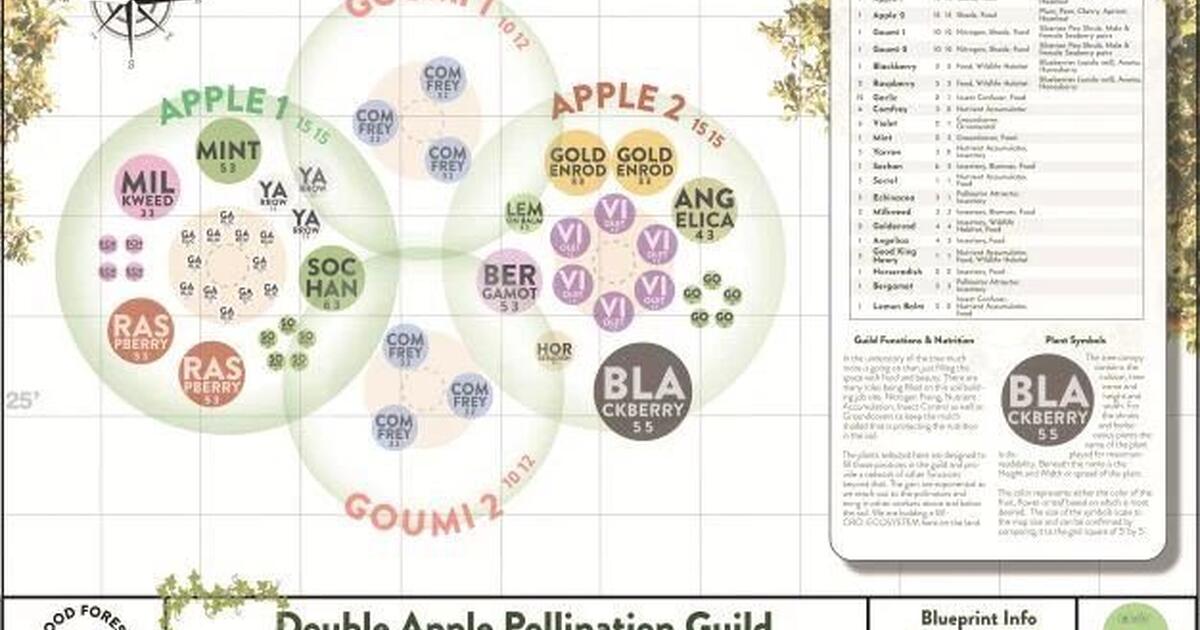 Freedom Garden Design Food System for $797 in Apple Valley, MN | For ...
