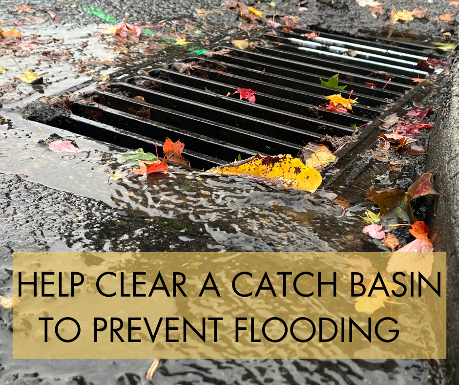 🌧️Lake Oswego, are you ready for the rain? (City of Lake Oswego ...