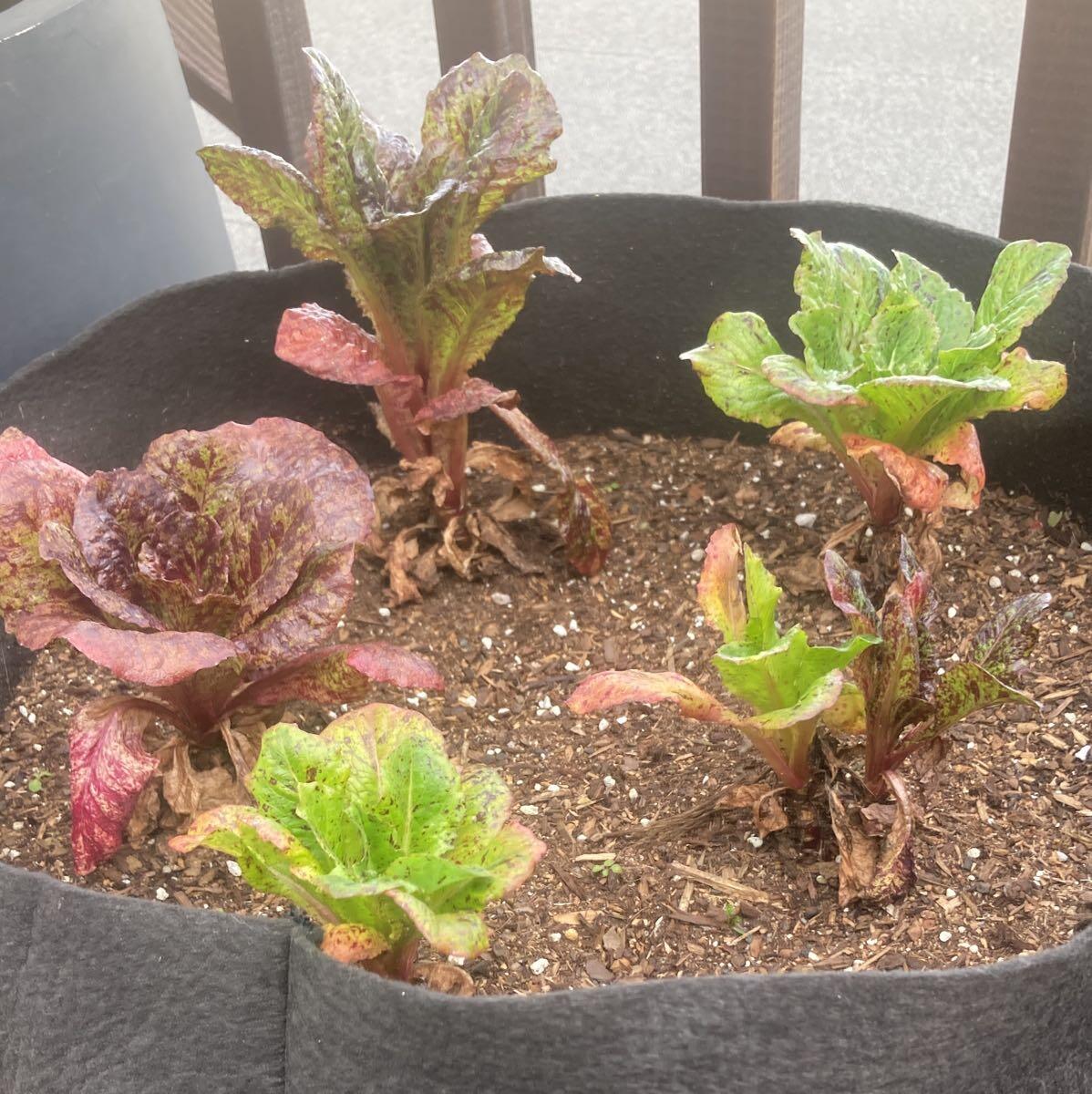 dhdhdjd for Free in Orinda, CA | Finds — Nextdoor