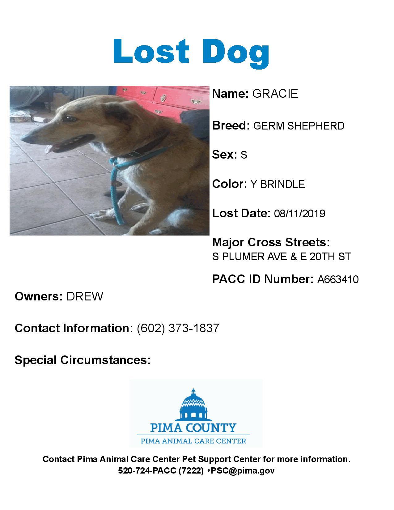 Lost Pet (Pima County) — Nextdoor — Nextdoor