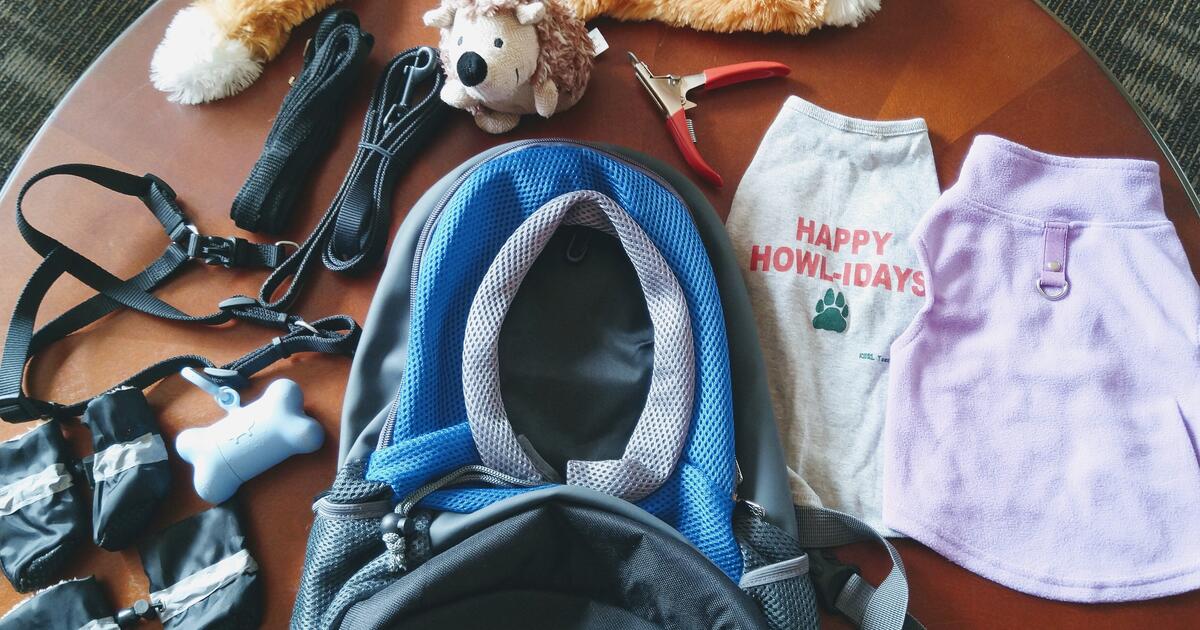 Small Dog items - Some Never Used - Some Wouldn't Know Was Used! for ...