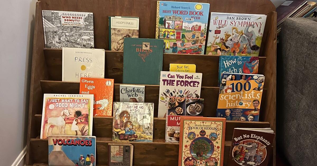 Forward facing bookshelf , 2 Clek Flo car seats for Free in Manassas ...