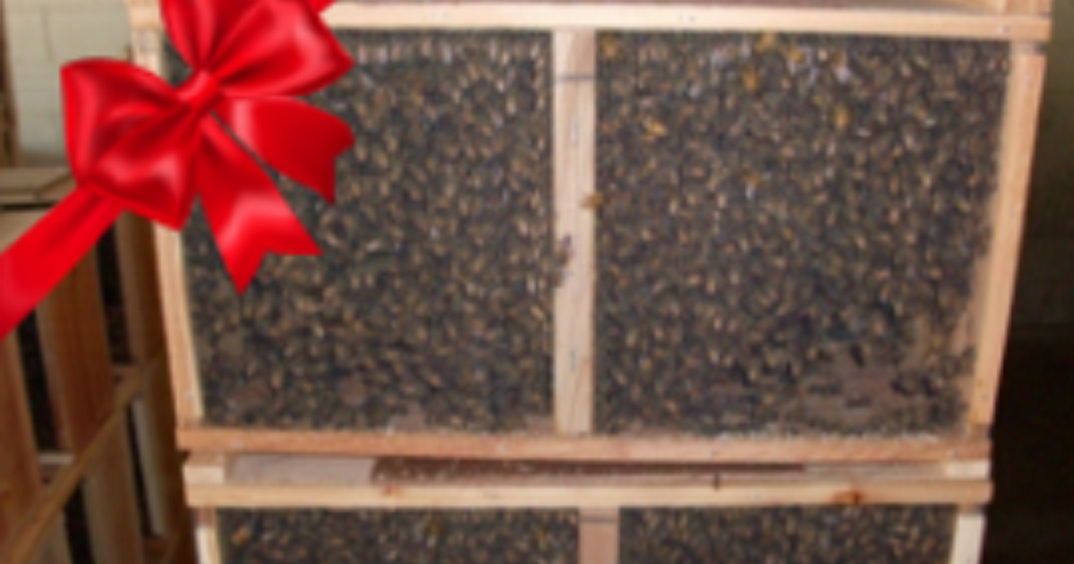 3 pound package for $160 in Smithfield, VA | For Sale & Free — Nextdoor