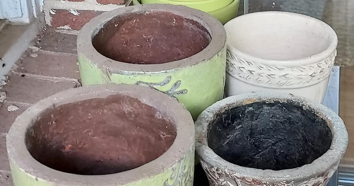 Free beautiful flower pots for Free in Falls Church, VA | For Sale ...