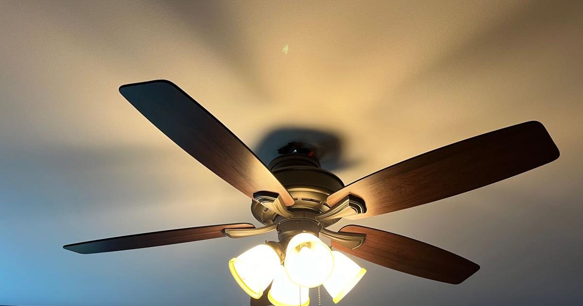 Hunter ceiling fan light fixture for $125 in Rochester, MI | Finds ...