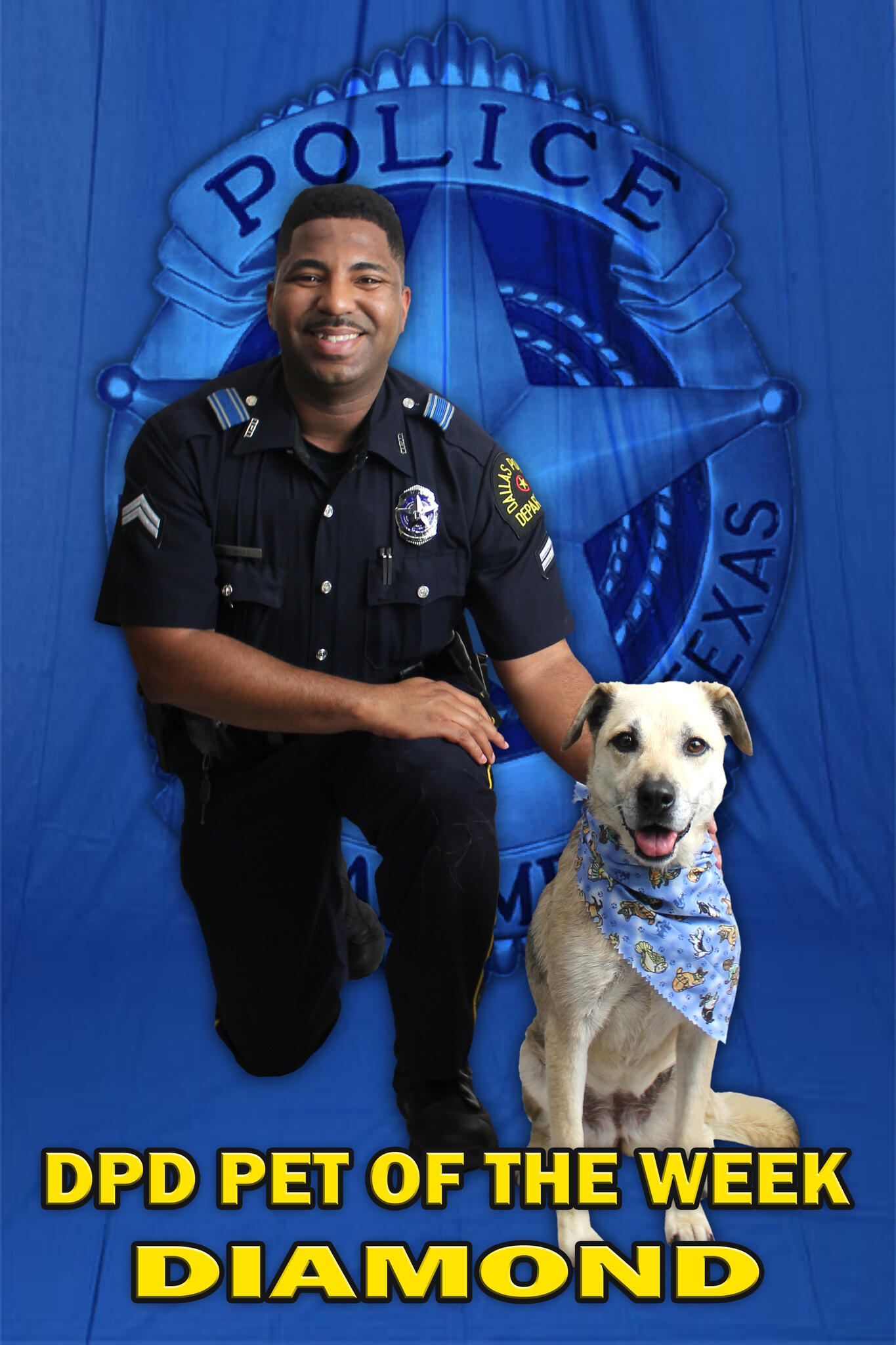 DPD’s Pet of the Week – Diamond (Dallas Police Department) — Nextdoor ...