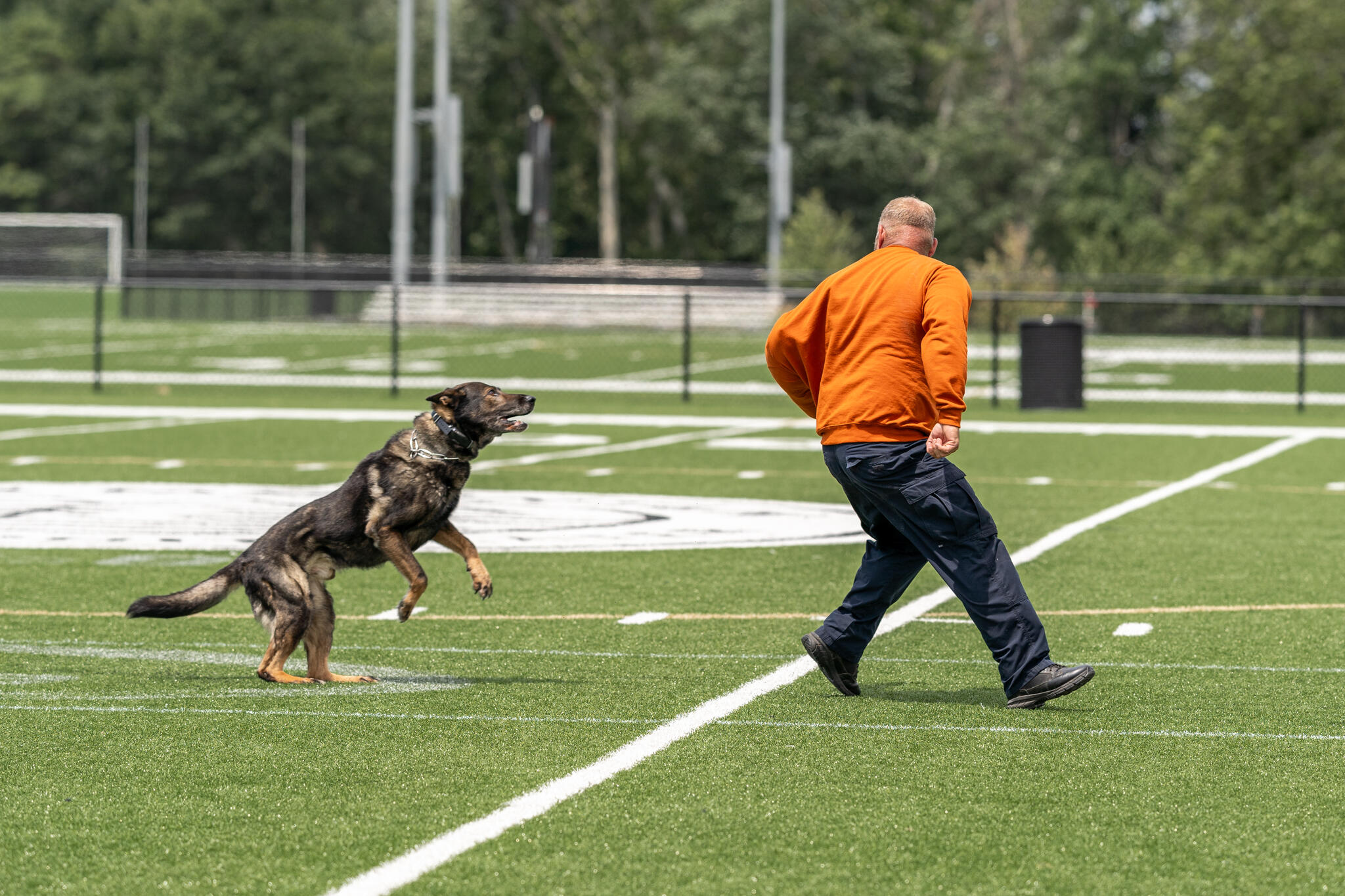 🐾🏆 CPD's K9 Unit achieved incredible success at the Region 22 USPCA K9 ...
