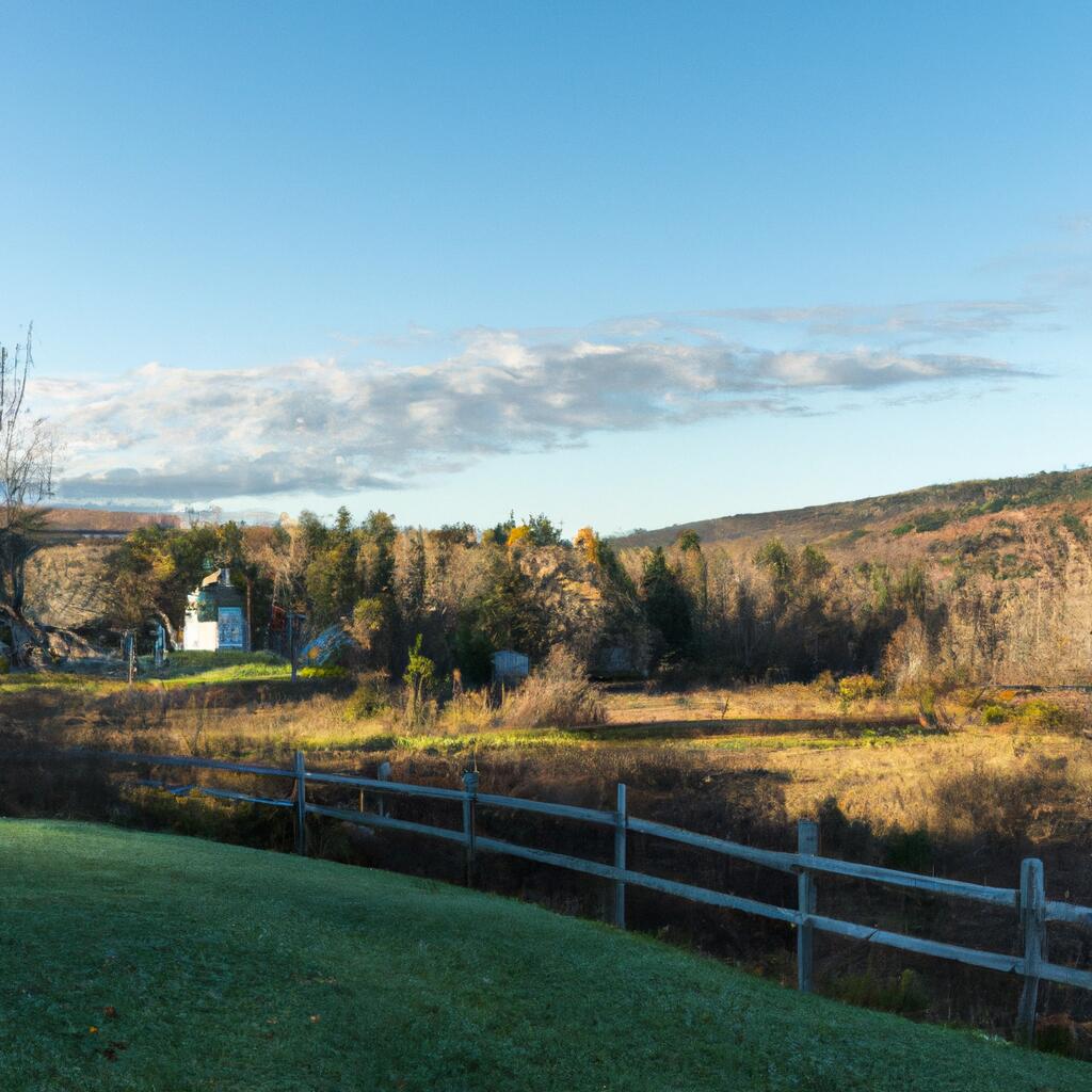 Rutland City Pine Hill Park, Rutland | Everything You Need to Know