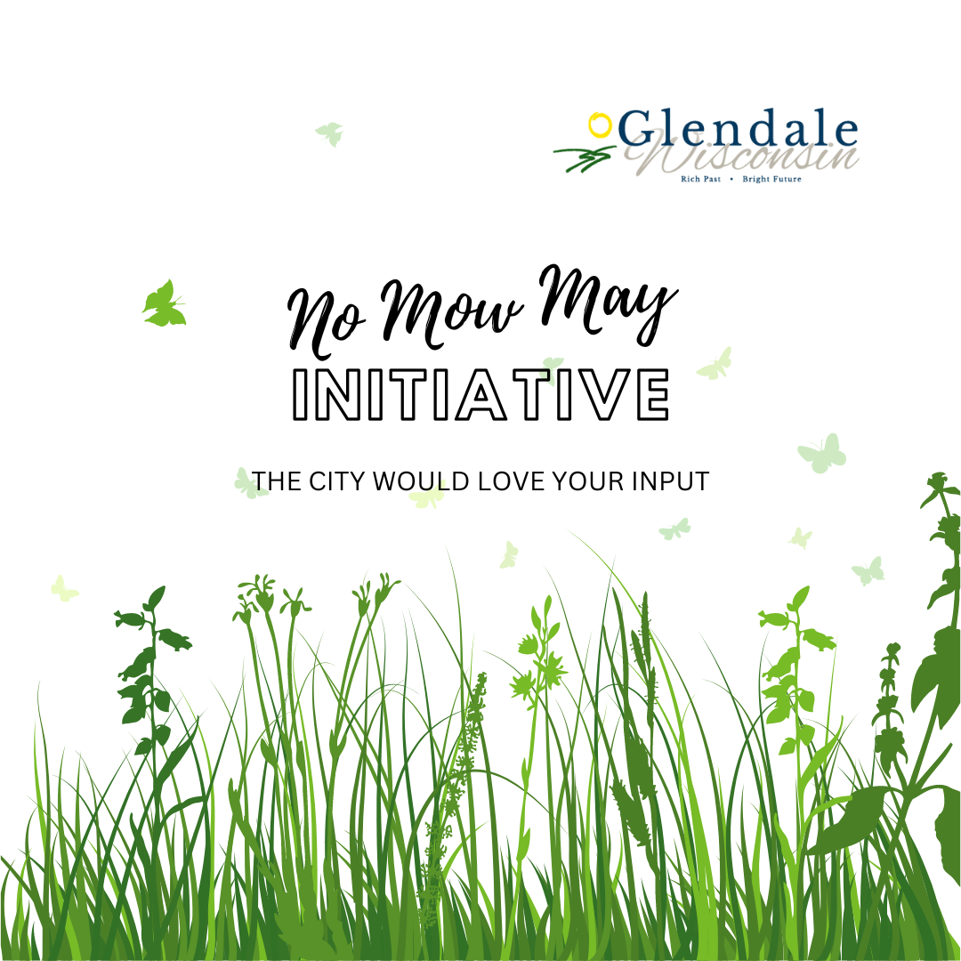 No Mow May is a conservation initiative that encourages people to stop ...