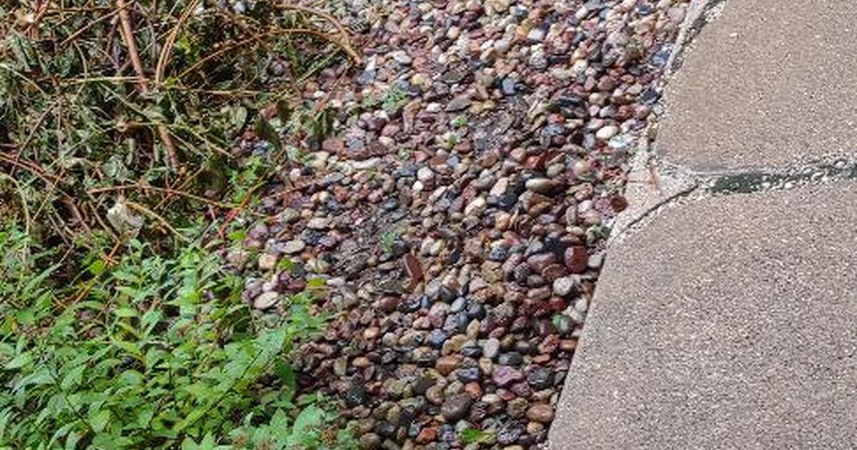 Free, clean river rocks for Free in La Crosse, WI | For Sale & Free ...