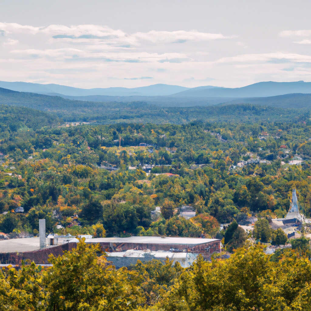 Tom's Pond, Warner | Everything You Need to Know