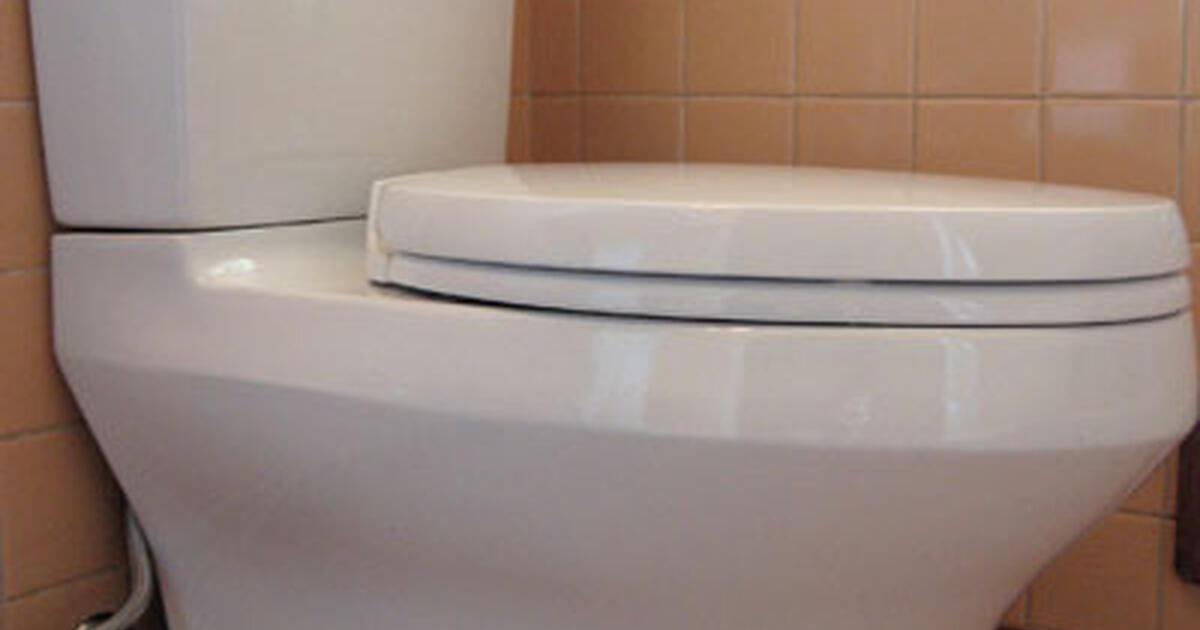 FREE - 3 Toto Aquia III Close Coupled Elongated Dual Flush Toilets for ...