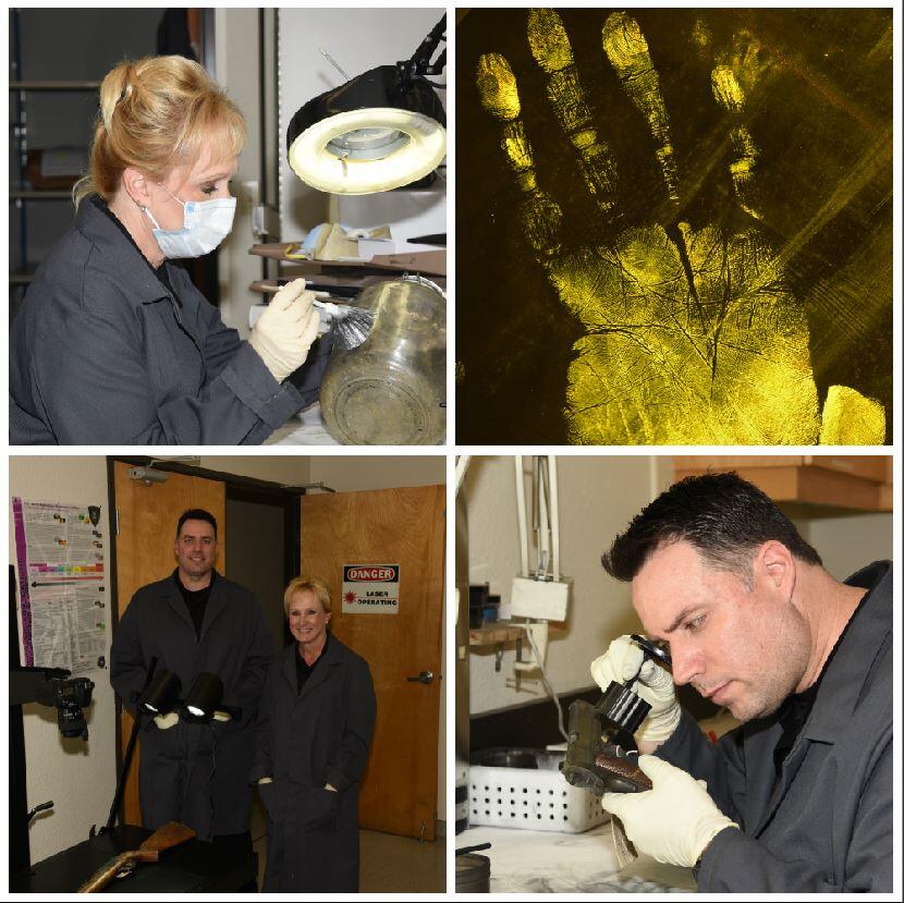 PRESS RELEASE: NATIONAL FORENSIC SCIENCE WEEK (Sacramento County ...