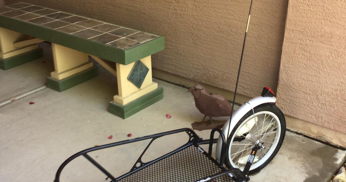 Like new Klein road bike and wheels, Bob Trailer for $210 in Goodyear ...