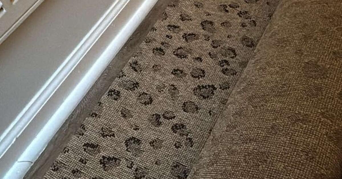 Two free rugs for Free in Raleigh, NC | For Sale & Free — Nextdoor