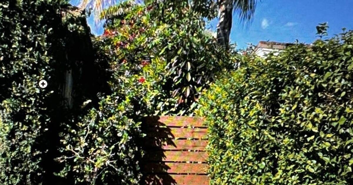 CORAL GATE STUDIO FOR RENT 7 min WALK TO DOWNTOWN CORAL GABLES for ...