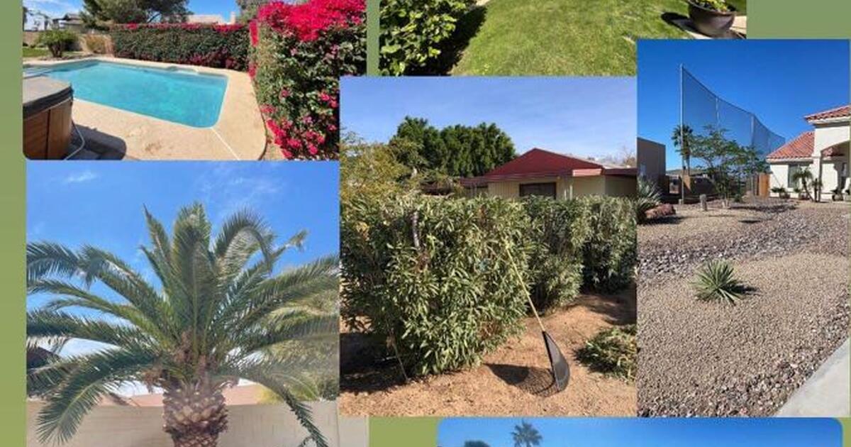 The lavish landscape in Yuma, AZ | Finds — Nextdoor