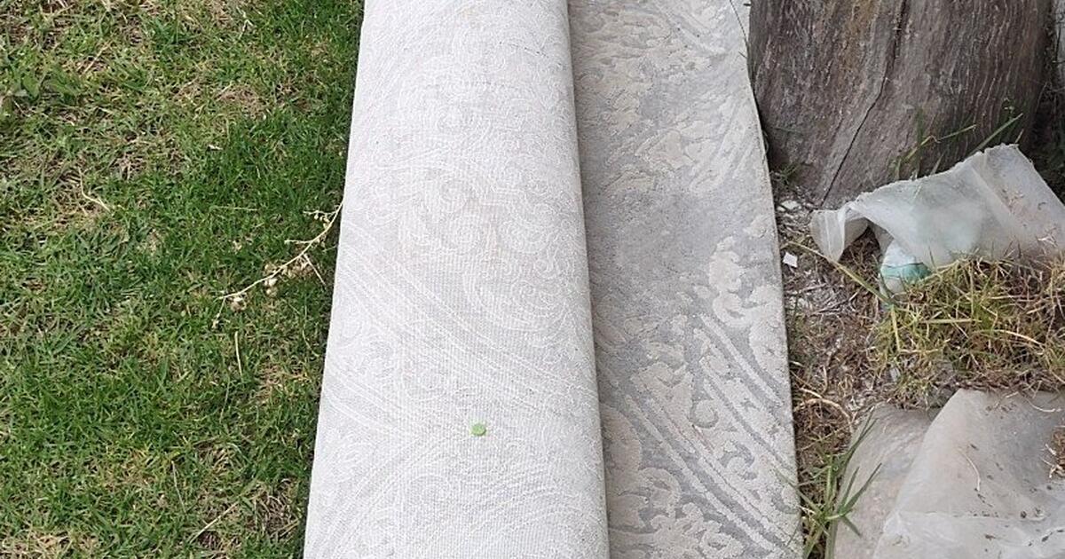 7.5 x 10 rug for Free in San Diego, CA | For Sale & Free — Nextdoor