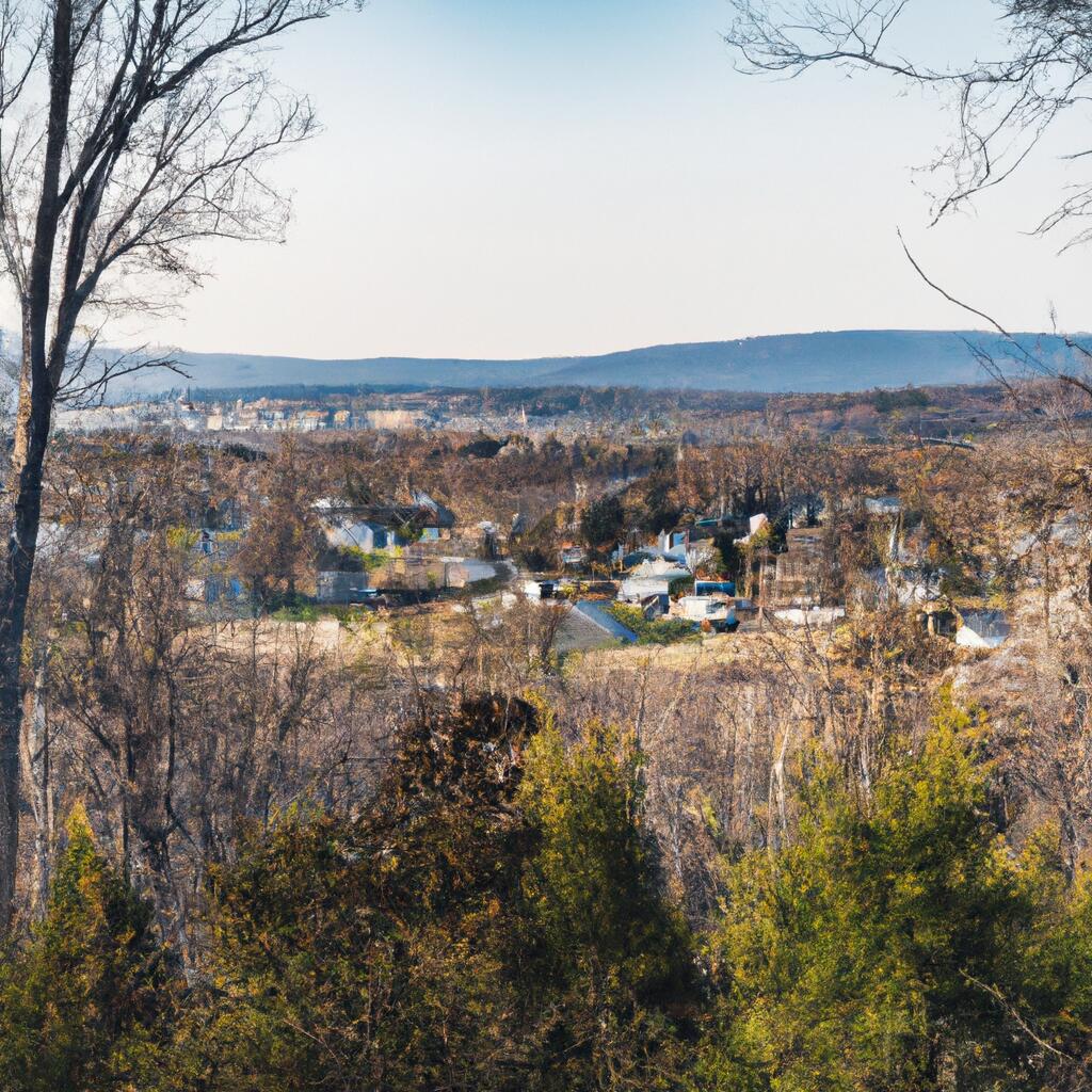 Mount Solon Lookouts, Mount Solon | Everything You Need to Know