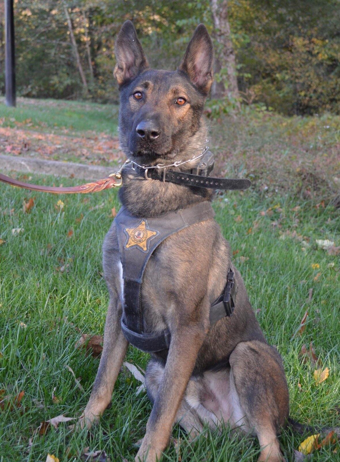 Congratulations Deputy Kyle McGinnis and K9 Enzo on receiving the ...