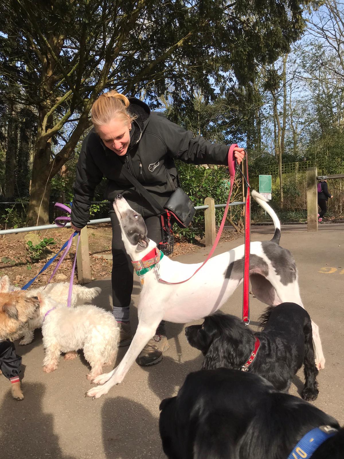 Dawn Doran - London, GB-ENG - Nextdoor