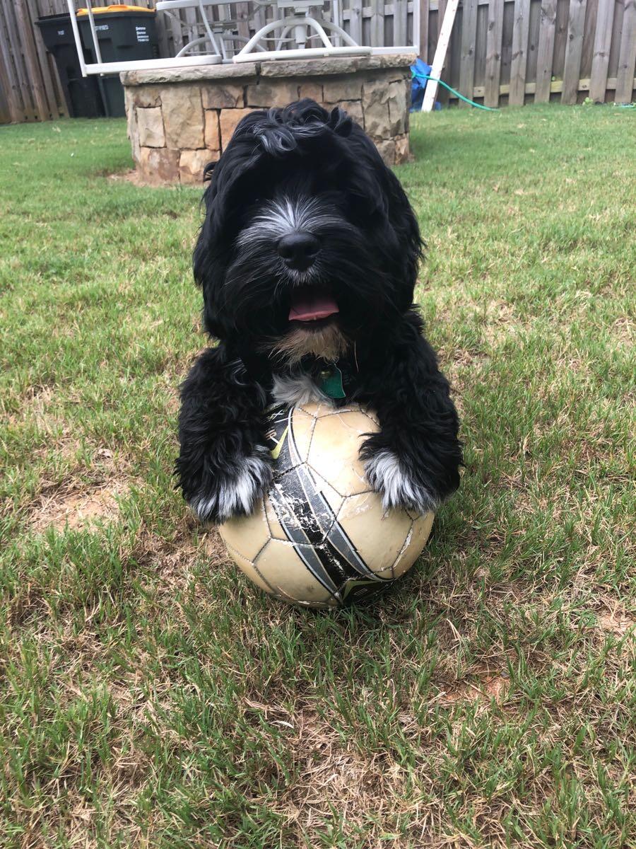 Maria Souza - Cumming, GA - Nextdoor