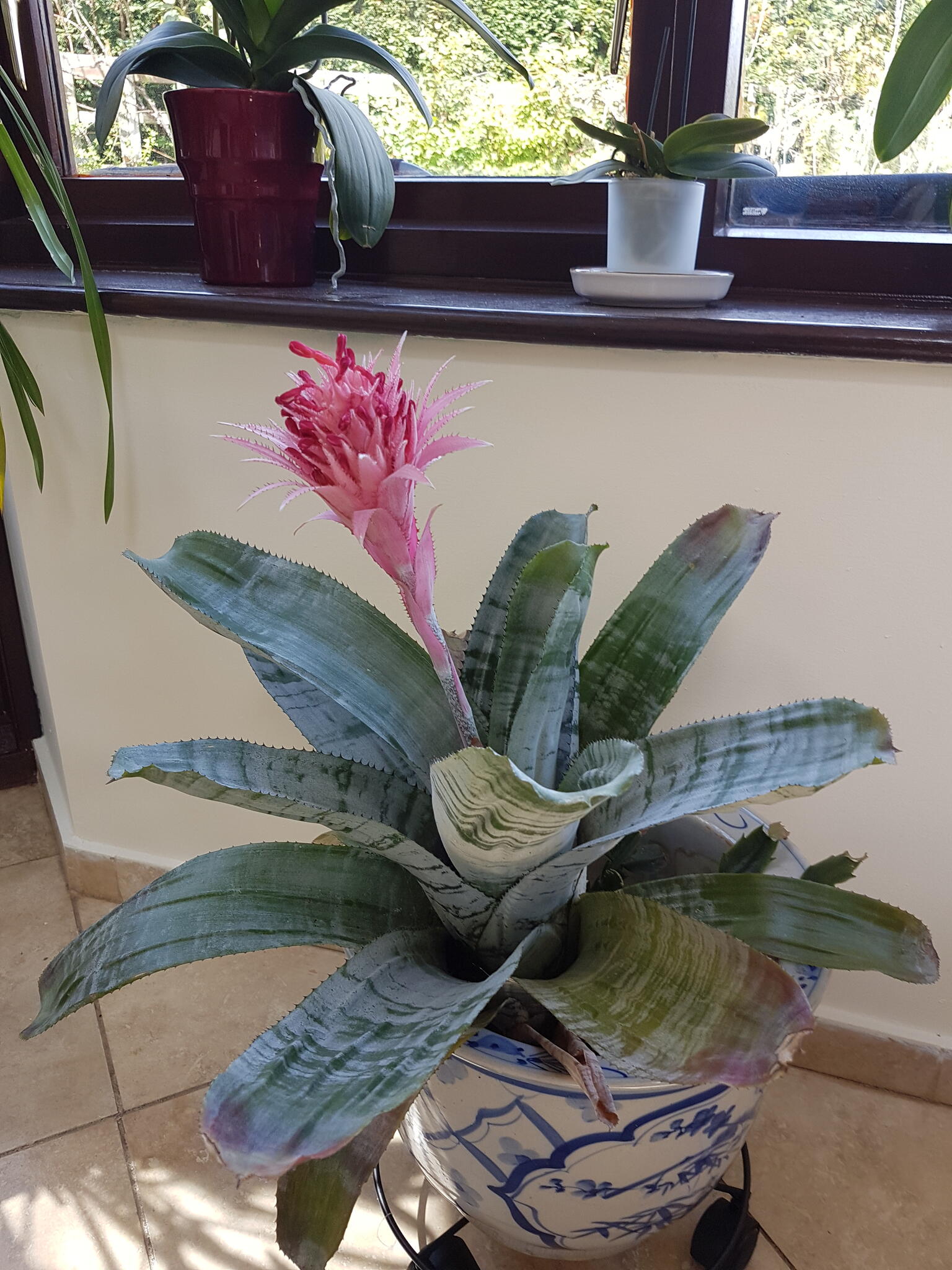 Paul Harrison - Cheadle - Nextdoor