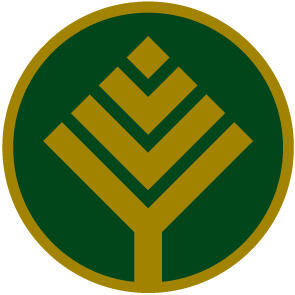 Meet the Lone Tree Building Division!