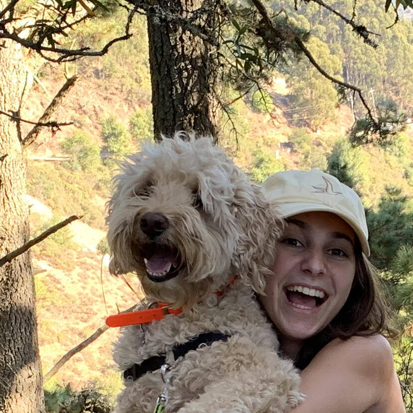 Sophia Levin - Oakland, CA - Nextdoor