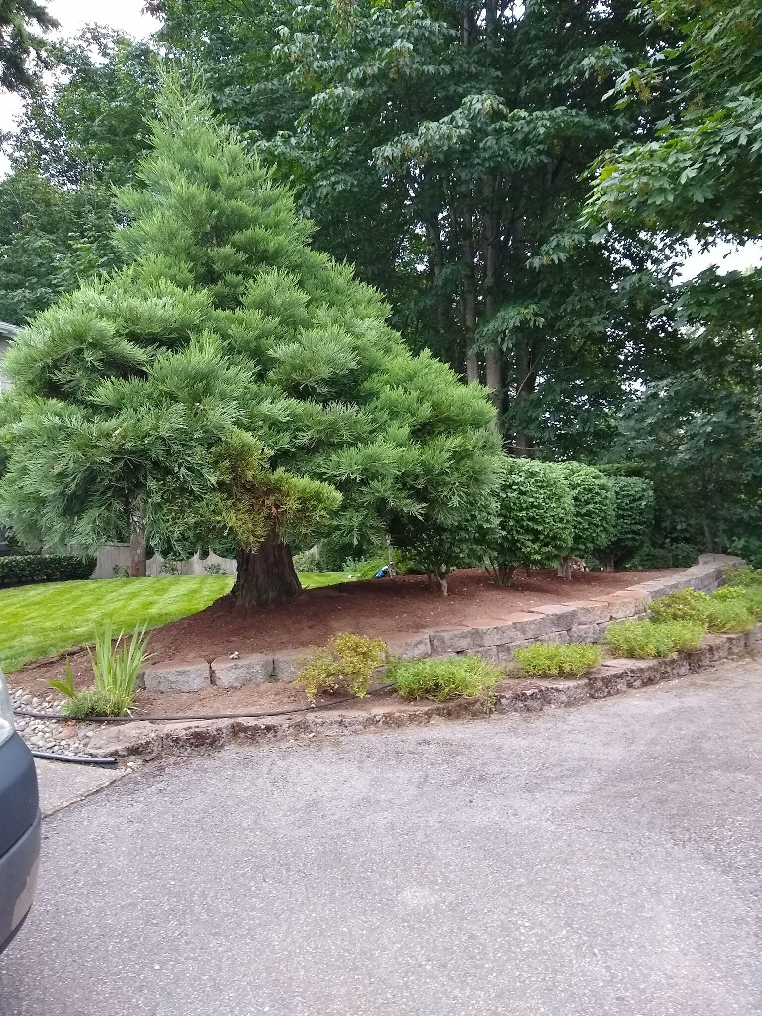 Benjamin Cruz - Nextdoor