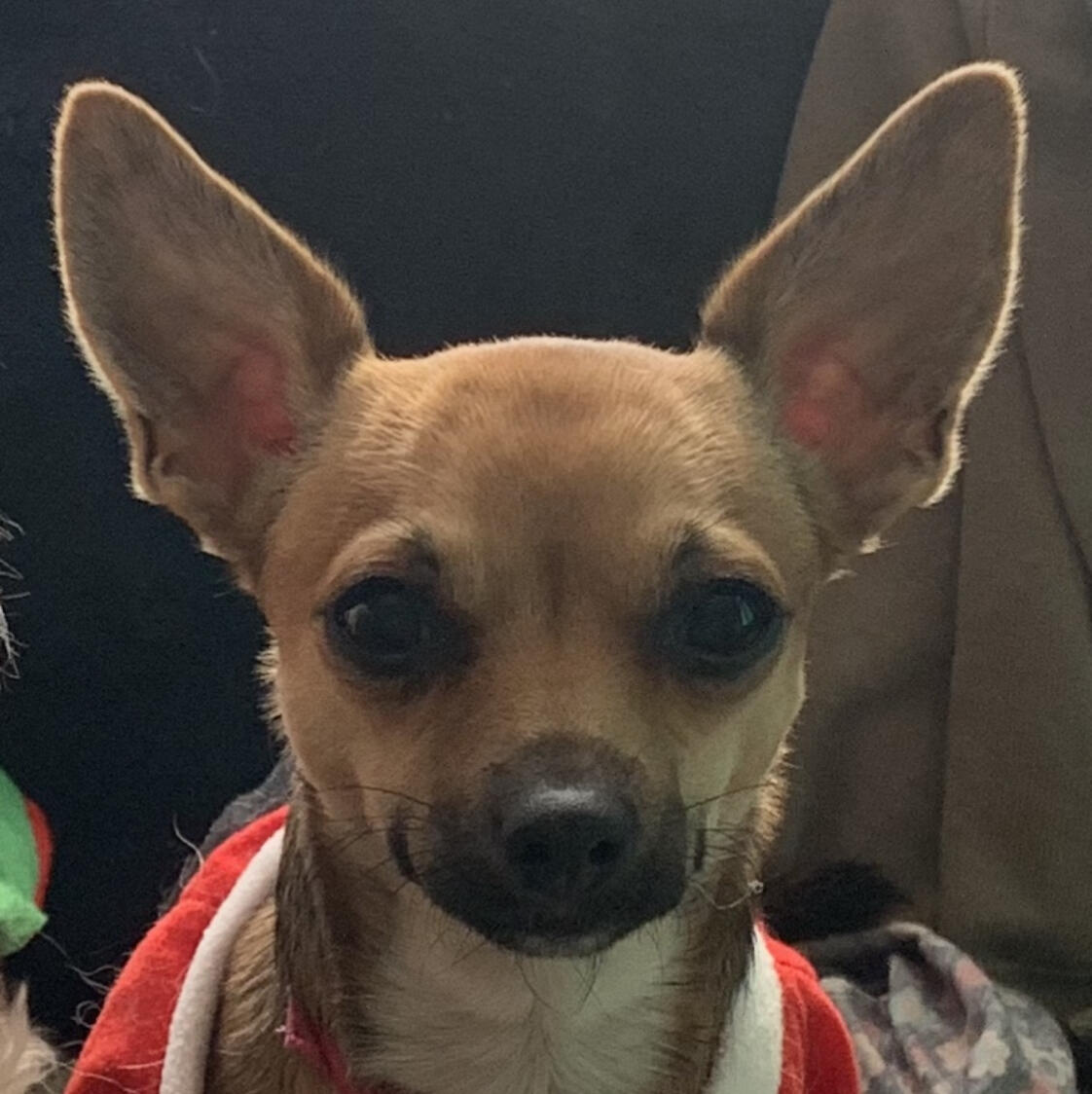 Sarah Parsons - Neath - Nextdoor