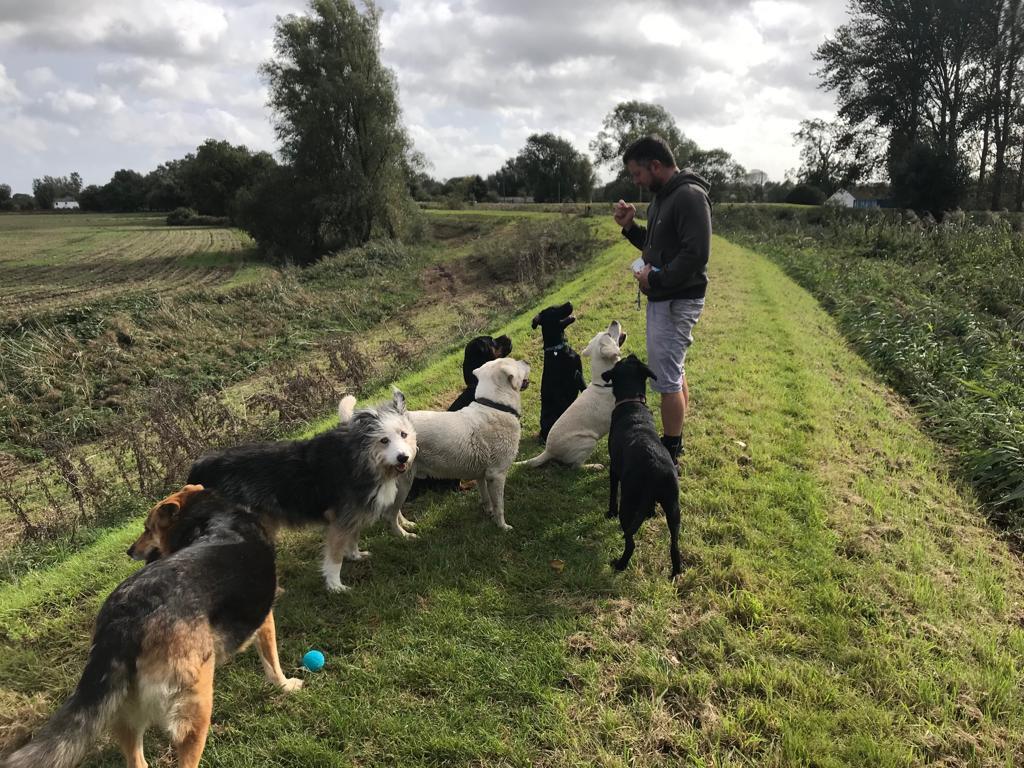 Dan Ford - Downham Market - Nextdoor