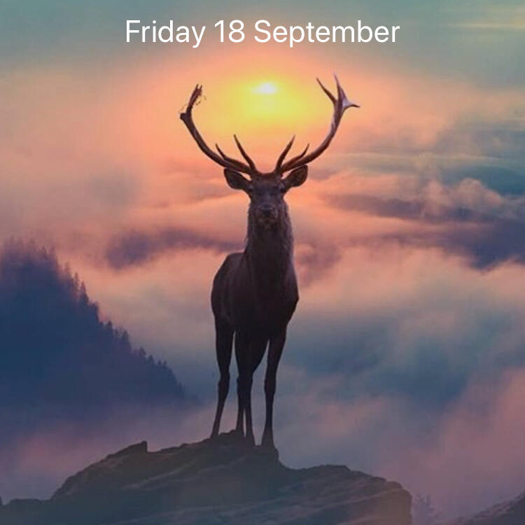 Stuart Venables - Southampton - Nextdoor