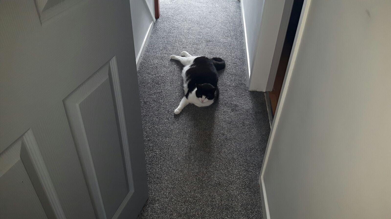 Modify - Blackpool - Nextdoor