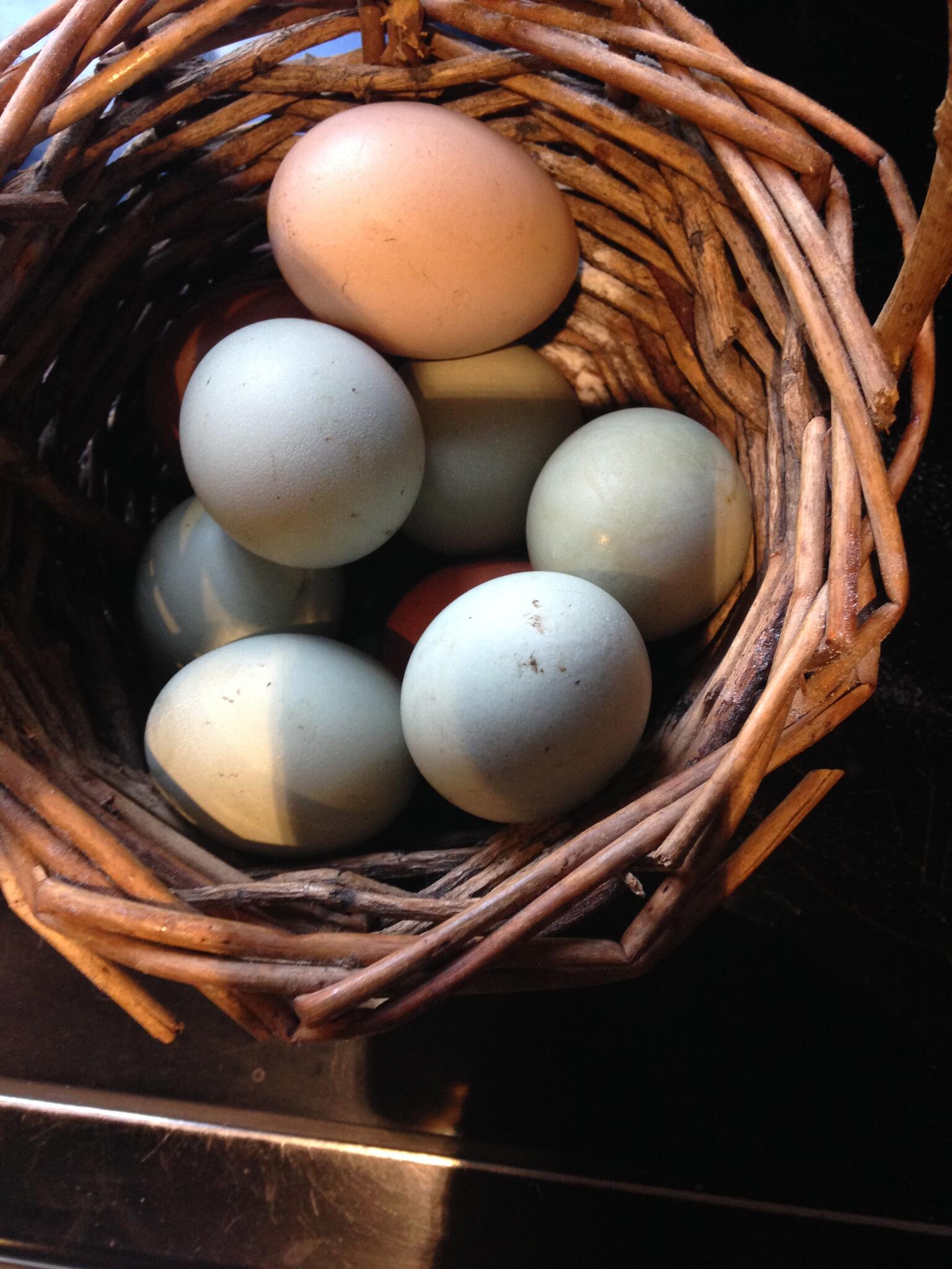 Handy Stan - Gillingham, England - Nextdoor